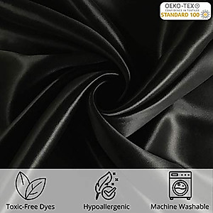 Celestial Silk 100% Silk Pillowcase for Hair Zippered Luxury 25 Momme Mulberry Silk Charmeuse Silk on Both Sides of Cover -Gift Wrapped- (Standard, Black)