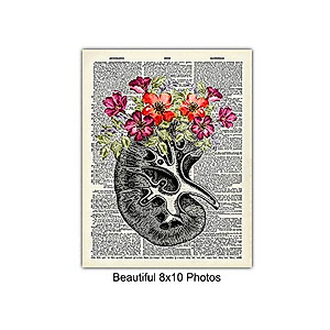 Heart, Skull, Brain, Lungs, Kidney, Liver Wall Art Decor - Human Anatomy Room Decorations - Medical Office Decor - Shabby Chic Gift for for Doctor, Nurse, Women, RN - Poster Picture Prints Set