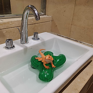 YUYUSO 6 Pack Bearded Dragon Lizard Bathe Float Bathtub Toy Enjoy The Bath Time with Bearded Dragon