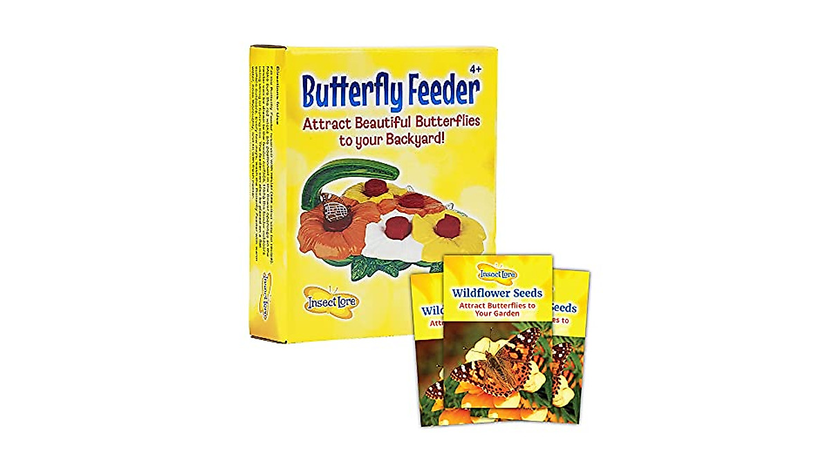 Insect Lore Butterfly Feeder - Attract Pollinators & Enhance Gardens
