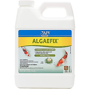 API POND ALGAEFIX Algae Control 32-Ounce Bottle, FISHAQUARI (169G)
