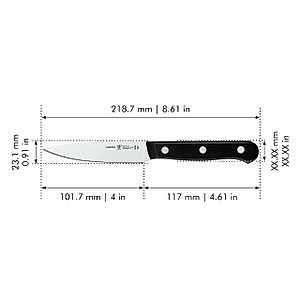 HENCKELS Solution Razor-Sharp 4-inch Paring Knife, German Engineered Informed by 100+ Years of Mastery