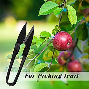 16 Pieces Bonsai Pruning Scissors Mini Garden Clippers Pruning Shears for Bud and Leaves Trimmer