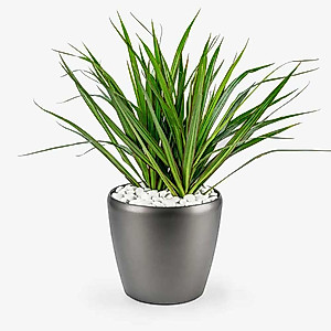 PolyPebbles Polished Composite Decorative Stones | Triple The Coverage of Natural Stone | 100% Recycled Materials + Nature Friendly | Won't Fade or Crack | Small (.5" - 1") Size | 2.4 Lbs White