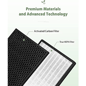 Future Way 2 Set HSP001 Filter Replacement Compatible with HSP001 Smart True HEPA Air Purifier, H13 True HEPA and Activated Carbon Filter