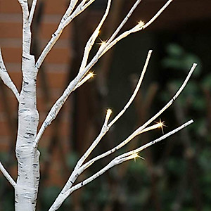 EAMBRITE Tabletop Tree Home Decorations, Mini Birch Tree with Lights, 24 LED Money Tree White Twig Tree Battery Operated with Timer, Christmas Centerpiece, Mothers Day, Spring Decor(2FT/Warm White)
