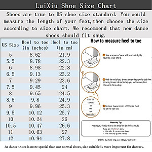 LuiXiu Ballroom Dance Shoes for Social Dancer Beginner 2.5 Inches Lace-Up Latin Swing Practice Dancing Sandals LX04(6,Silver-2.5 Inch Heel)