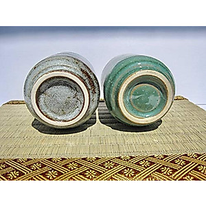 Mino Ware Japanese Traditional Yunomi Tea cups 8.45 Onces Set of 2 Authentic Aoshino Sensuji Design for Hot Green Tea Bancha Matcha Tea from Japan