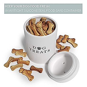 Barnyard Designs Large Dog Treat Container Airtight, Cute Dog Treat Jar, Large Dog Treat Containers with Lids, Rustic Dog Treat Storage Container, Ceramic Dog Treat Jars for Kitchen Counter, White