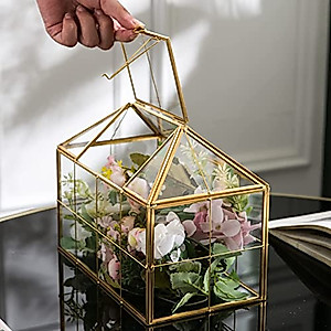 Vellon Golden Plant Terrarium for Greenery and Bonsai, House-Shape Desktop Planter, Glass Reptile Breeding Box, Wardian Case Planter, Golden Decor of Home and Garden