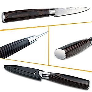 Kitory Paring Knife Fruit Knife Small Kitchen Knife 3.5 Inch 7Cr17MoV German High Carbon Stainless Steel for Fruit and Vegetable Carving Dicing Cutting Chopping Fruits Vegetables 2023 Gift