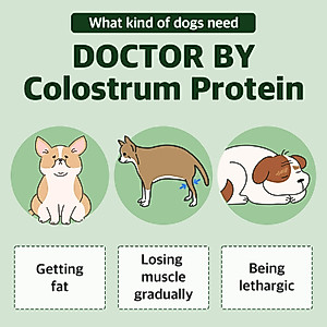 Doctor By Colostrum Protein for Dogs and Puppy – Weight Gain Supplement for Dog - Muscular Strength and Immune System Support with Colostrum, Whey Protein Isolate, Goat Milk – 30 Tubes