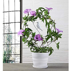 16.3" Tall Garden Trellis for Climbing Plants, Rust-Proof Iron Trellis for Indoor Potted Plants, Bird Round Circle Trellis, Metal Vine Plant Support Trellis for Vines Hoya Houseplants Ivy Flowers