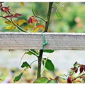 PGarden-EZ Green Soft Twist Tie Plant Tie Flexible TPR Garden Supply, for Tomatoes Roses Vines Organizing(16.4 feet/ 5 Meters)…, 16 feet