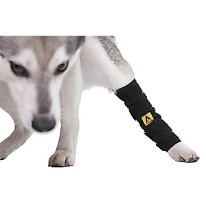 AGON® Dog Leg Braces for Back Leg wrap hock Compression Protects Wounds and Helps heal hind Legs Rear Ankle Joint, preventing Injuries, sprains Providing Stability for Dogs, Canines Arthritis (Small)