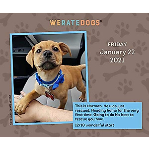 WeRateDogs 2021 Day-to-Day Calendar
