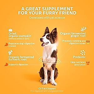 ROGUE PET SCIENCE Pumpkin Pro for Dogs - Tasty Powdered Digestive Support Food Topper w/Organic Pumpkin - Supports Prebiotic Fiber Source & Nutrition - Helps Loose Stool and Gut Inflammation(5.25 oz)