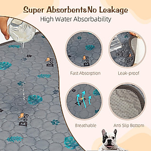 Bregdosy Super Absorbent Washable Pee Pads for Dogs Large 31"x24",2Pack Reusable Dog Pee Pads, Non-Slip and Leak-Proof Potty Pads,Puppy Pads Pet Training Pads for Whelping,Potty Training…