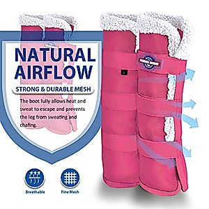 Harrison Howard Horse Fly Boots Summer Protection with Fleece Trim to Eliminate Rubbing Comfortable and Ventilating Mesh Leg Guards Set of 4 Magenta M