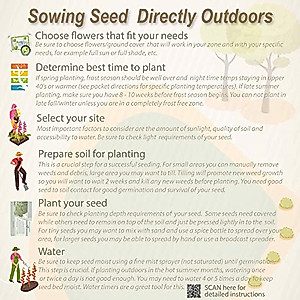 Outsidepride Perennial Aster Alpinus Mix Garden Flowers for Rock Gardens & Container Plants - 2000 Seeds