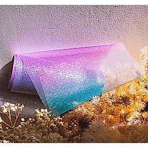 AUEAR, 2 Pack Total 60 Feet x 6inch Glitter Tulle Netting Rolls for Table Runner Chair Sash Bow Wedding Unicorn Party Pet Tutu Skirt Sewing Crafting Fabric Birthday Gift Ribbon (Rainbow Pack)