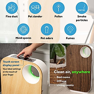 OVAL AIR AIR1000D 3-Stage H13 True HEPA 5-in-1 Air Purifier For Allergens,Dust,Pets,Allergies,Odor,Smoke,Pollen, Rooms up to 600 sq. ft., Dark Wood 13.8" X 7.5" X 25"