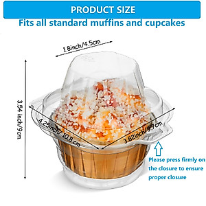 300 Pcs Individual Cupcake Containers Bulk Disposable Single Cupcake Boxes Plastic Cupcake Holder Stackable Cupcake Carriers Clear Cupcake Domes with Connected Lid for Food Wedding Baby Shower
