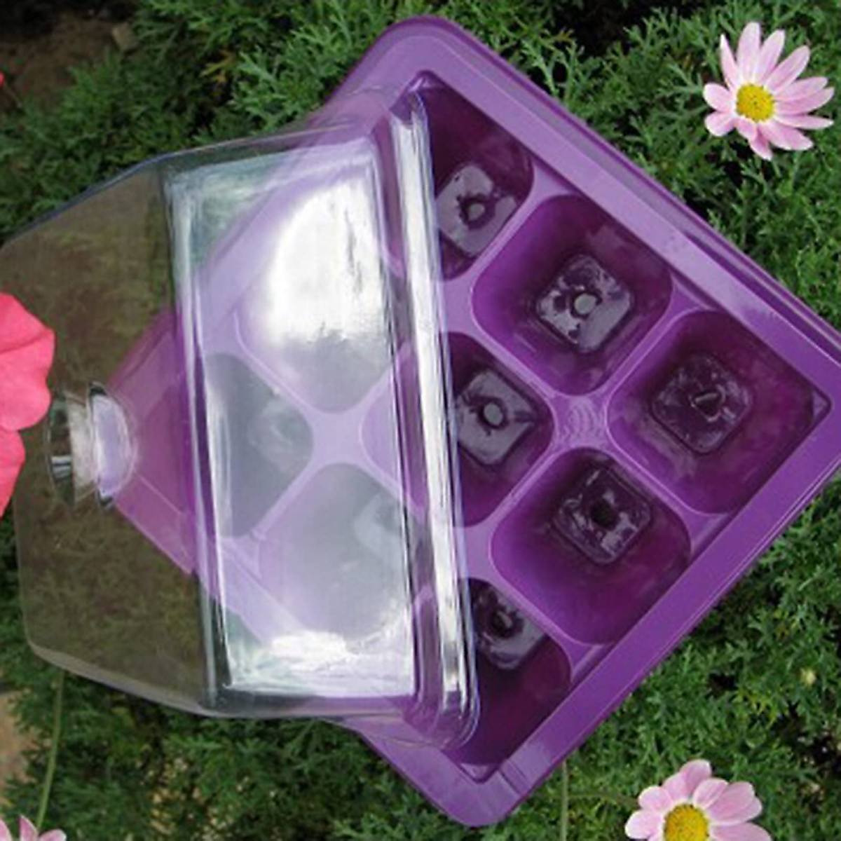 cdar Plant Starter Tray,Nursery Tray,Plant Starter Kit with Dome,Multi-compartments High Survival Rate Plant Flower Grow Box,Propagation Tray for Plant Growing Starting Purple S