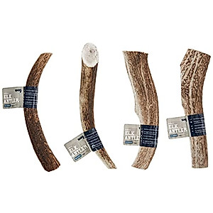 Amazon Brand - Wag Elk Antler - Whole - X-Large 9.5-10.5 inches (Best for Dogs over 45 lbs)