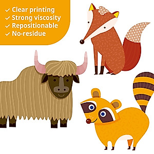 DECOWALL DS9-8070 Animal Alphabet Numbers Colour Weather Kids Wall Stickers Decals playroom Letters Decor Bedroom ABC Nursery Classroom Toddlers Learning Educational Baby Rainbow Colorful