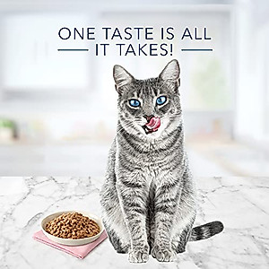 Blue Buffalo Tastefuls Natural Tender Morsels Wet Cat Food, Chicken Entrée 5.5-oz cans (Pack of 24)