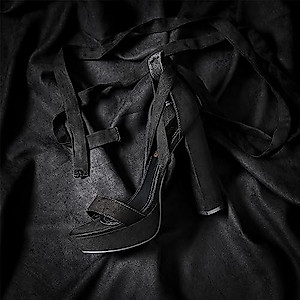 DREAM PAIRS High Chunky Block Platform Heels for Womens Strappy Gladiator Sexy Open Toe Dressy Sandal SDHS2205W Black 10