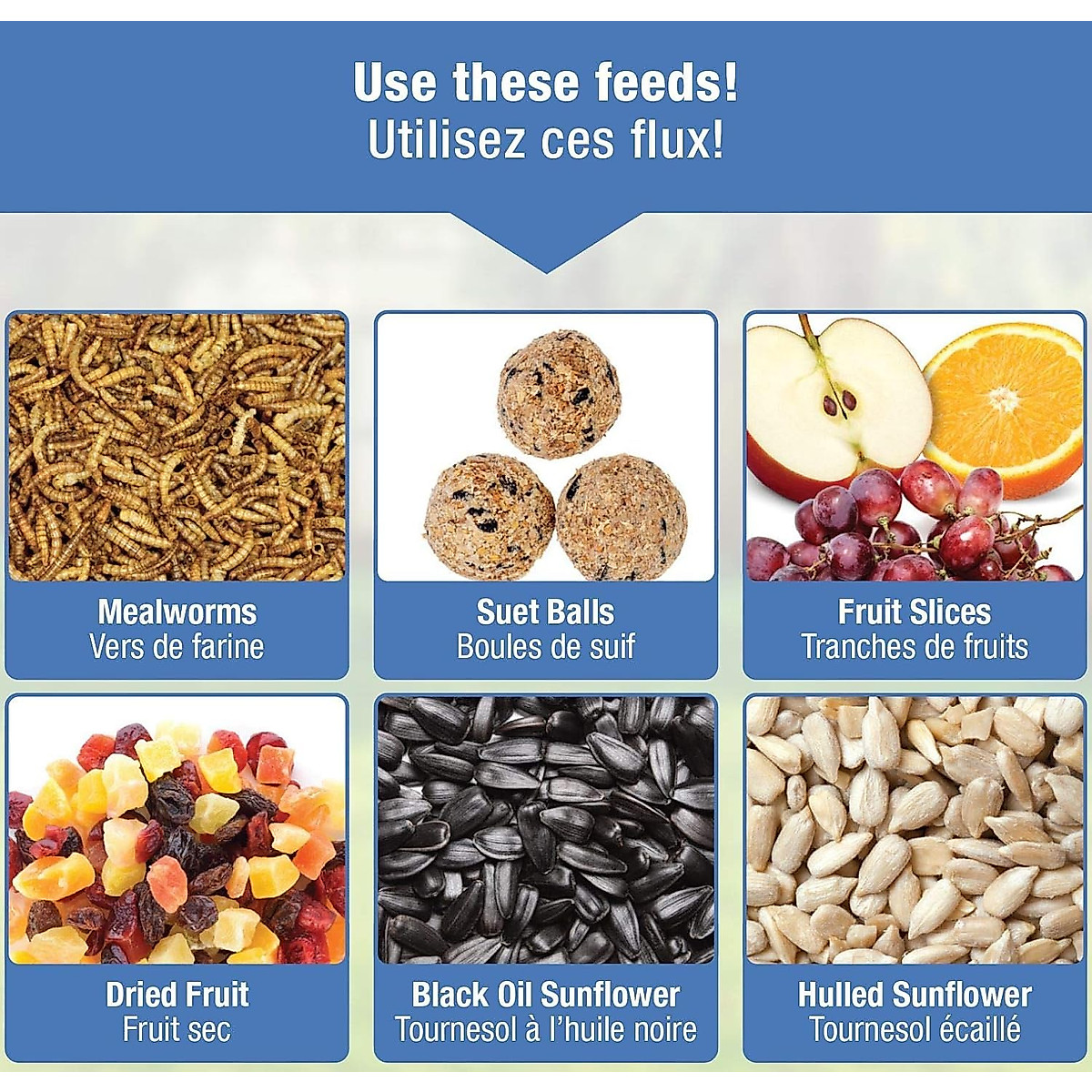 Nature's Way BBFM1 Bluebird Buffet Metal Bird Feeder with Protective Baffle, Outdoor Wild Bird Feeder and Décor, One Glass Dish with 3/4 Cup capacity, Blue