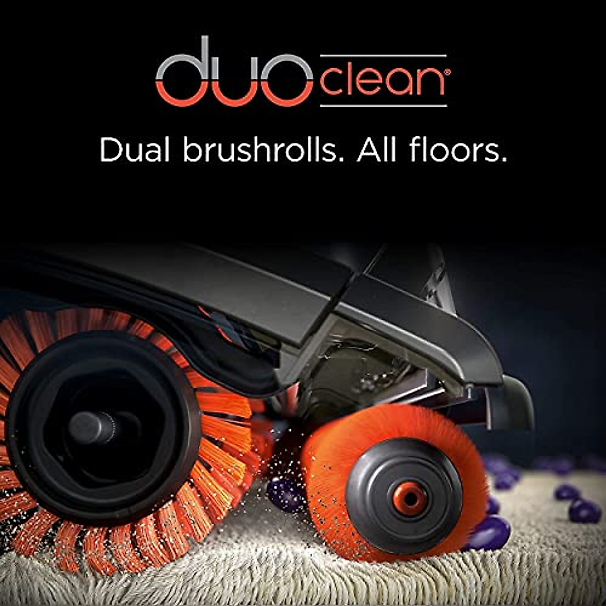 Shark Navigator Upright Vacuum with Lift-Away, Zero-M Anti-Hair Wrap Technology, Anti-Allergen + HEPA Filter and Swivel Steering - ZU560 (Renewed)