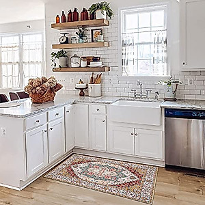 Entry Rugs for Inside House 2x3 Rug Washable Area Rugs Small Rugs Entry Rug 2x3 Rugs for Entryway Small Rugs for Entryway