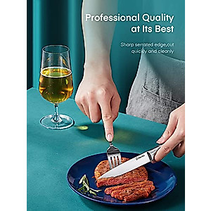 D.Perlla Steak Knives, Micro Serrated Steak Knife Set of 8, High Carbon Stainless Steel Steak Knives Set, Elegant Sharp Kitchen Steak Knife Set, Silver