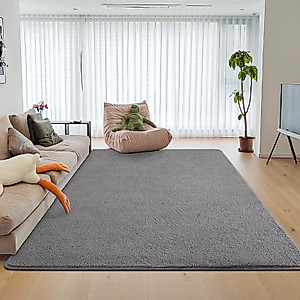 DweIke Modern Area Rugs for Bedroom Living Room, 4x6 ft Grey Thickened Memory-Foam Indoor Carpets, Minimalist Style Carpet Suitable for Boys Girls and Adults with Super Soft Touch, Washable, Grey