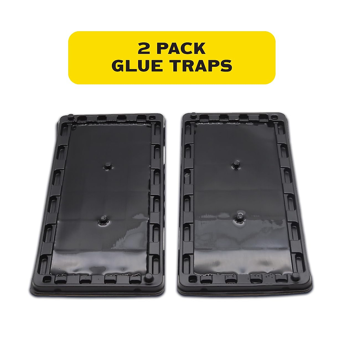 Pic GT2 Glue Rat Tray, 2-Pack