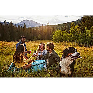 Hydro Flask 25 oz Wine Bottle - Stainless Steel, Reusable, Vacuum Insulated, Dishwasher Safe, BPA-Free, Non-Toxic