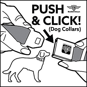 Buckle-Down Seatbelt Buckle Dog Collar - Pinkie Pie Balloons - 1" Wide - Fits 11-17" Neck - Medium