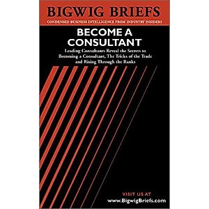 Bigwig Briefs Become a Consultant
