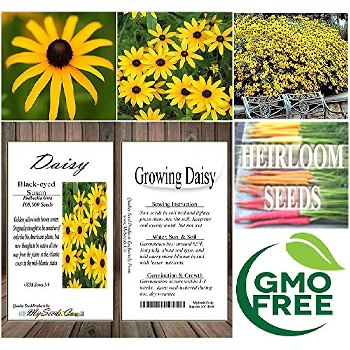 Big Pack - (100,000+) Black Eyed Susan Flower Seeds - Self Reseeds Rudbeckia hirta - Perfect Golden Cut Flowers - Flower Seeds by MySeeds.Co (Big Pack - Black Eyed Susan)