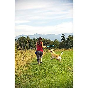 Chuckit The Whistler Ball Dog Toy, Medium (2.5 Inch Diameter) for Dogs 20-60 lbs, Pack of 2, Multicolor