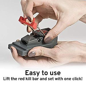 Victor M140S Quick Kill Mouse Trap, 2-Pack Easy to Set mouse trap