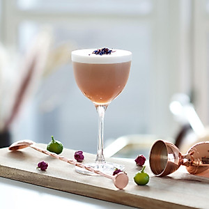 HISTORY COMPANY The Original Nick & Nora Crystal Martini Glass 2-Piece Set (Gift Box Collection)