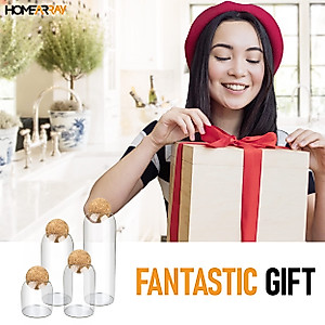 HOMEARAY Glass Food Storage Jars with Lids – Premium Transparent Cereal Jars Storage with Ball Cork Lid – Flour and Sugar Jars with Cork Stopper – Ideal for Storing Your Food