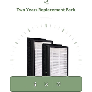 2-Pack Replacement Filter