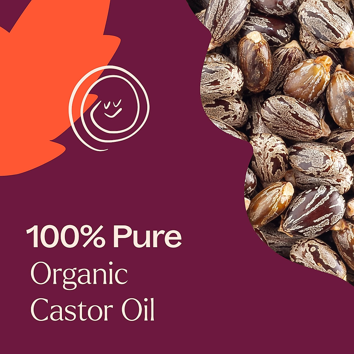 Plant Therapy Castor Oil Starter Set USDA Organic Cold Pressed 100% Pure Hexane Free, Conditioning & Healing, For Dry Skin, Hair Growth - Skin, Hair Care, Eyelashes