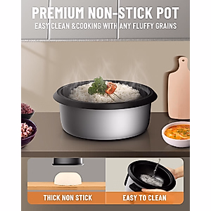 Wantjoin Rice cooker Stainless Rice Cooker & Warmer Commercial Rice cooker for party and family(10L capacity for 4.2L rice,42CUPS) White