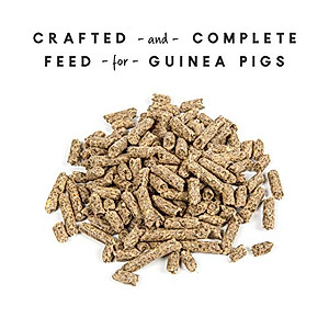 Manna Pro Guinea Pig Feed | with Vitamin C | Complete Feed for Guinea Pigs | No Artificial Colors or Flavors | 5 lb
